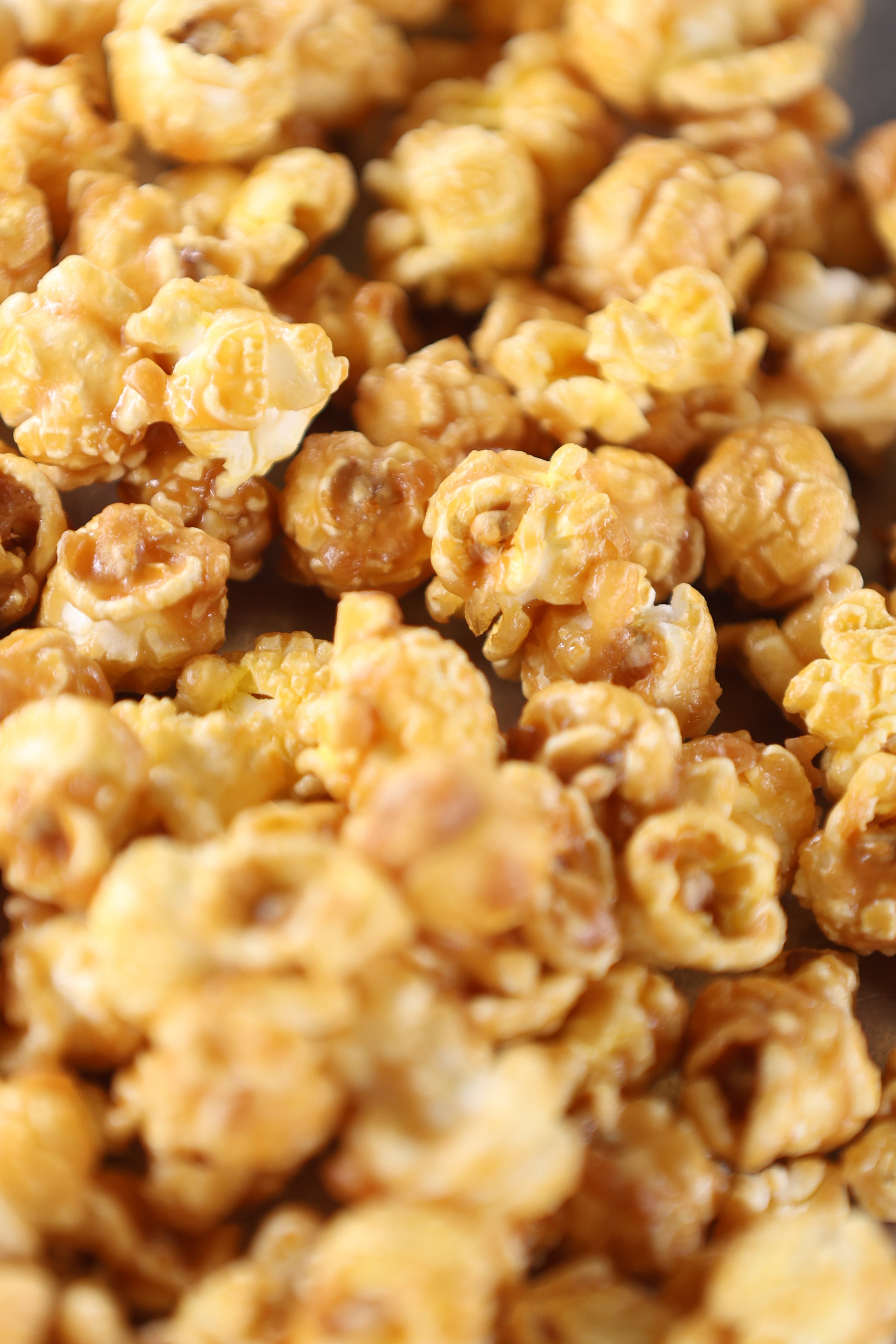 GoodyPop- Gourmet Popcorn